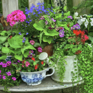 25 Container Plants Ideas - DIYCozy: Nails, Decor, DIY, Gardening, Holidays