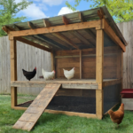 18 Diy Chicken Run Cheap Ideas - DIYCozy: Nails, Decor, DIY, Gardening ...
