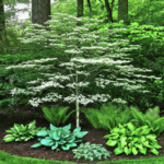 17 Shade Garden Design Layout Ideas - DIYCozy: Nails, Decor, DIY ...